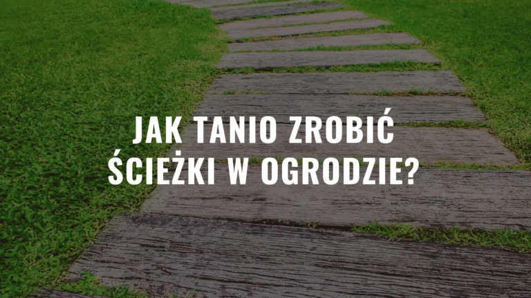 Jak tanio zrobić ścieżki w ogrodzie? Najlepsze rozwiązania - RTM